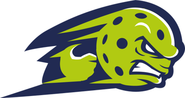 Home - PickleRage Pickleball Club Franchises